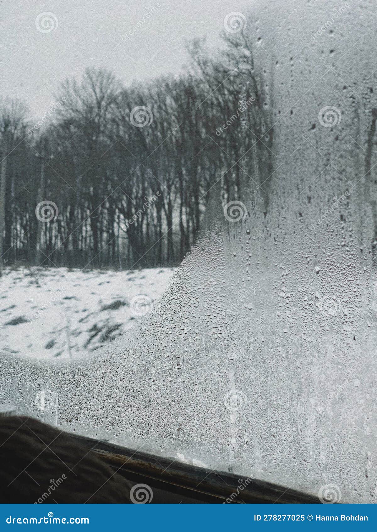 Frozen Windows Stock Photo | CartoonDealer.com #23178738