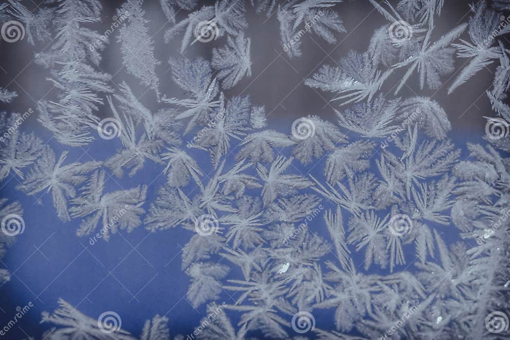 Frozen Windows in winter stock photo. Image of snow - 128582546