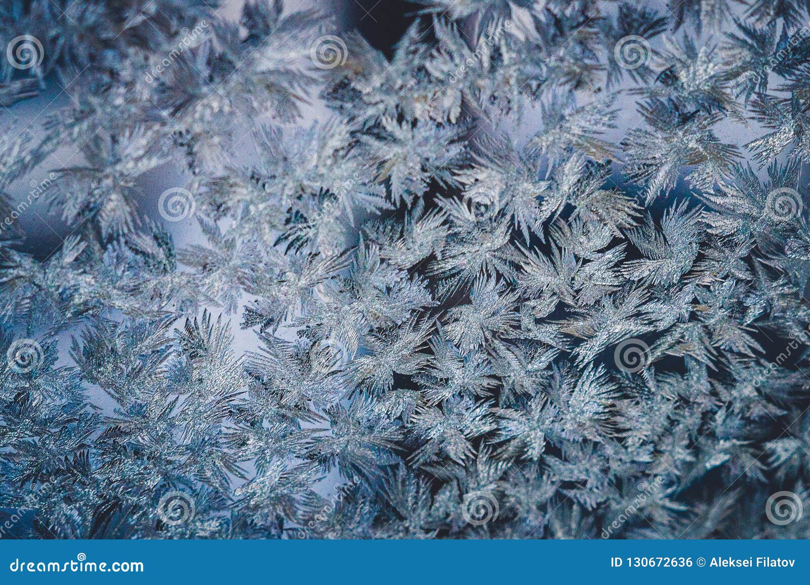 Frozen Windows in winter stock photo. Image of frozen - 130672636