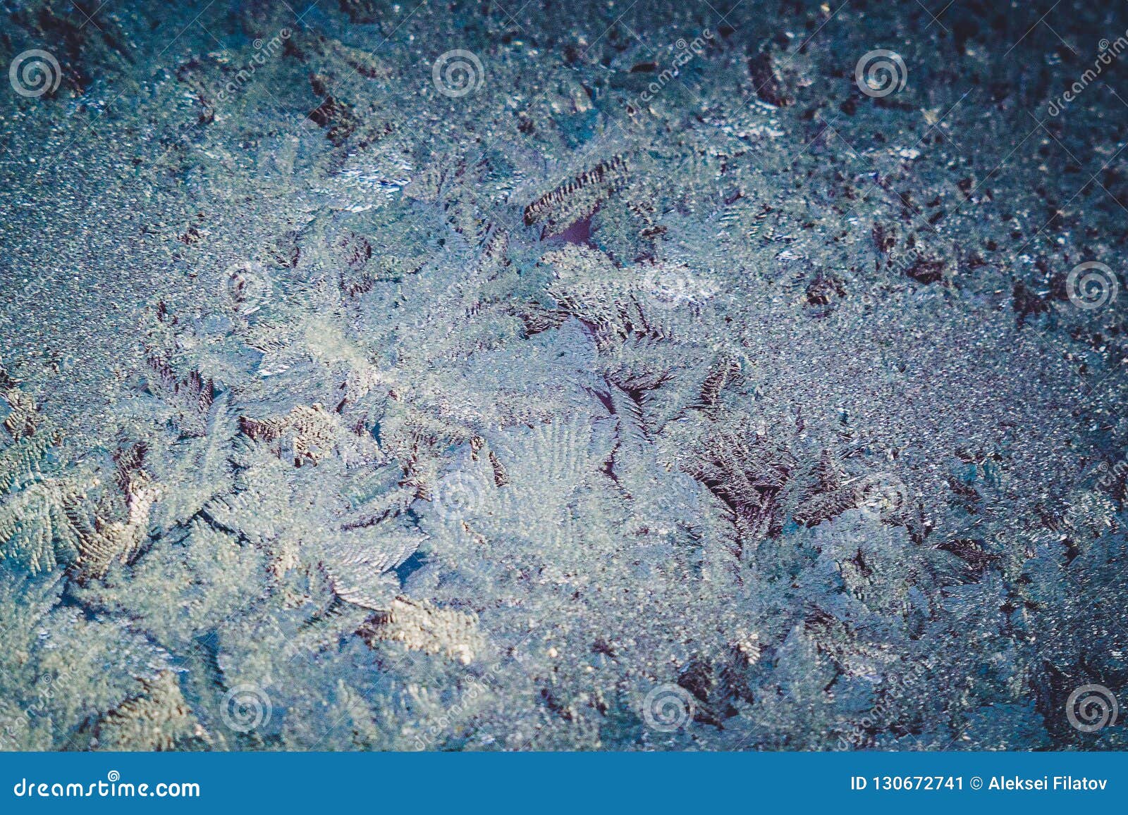 Frozen Windows in winter stock image. Image of frost - 130672741