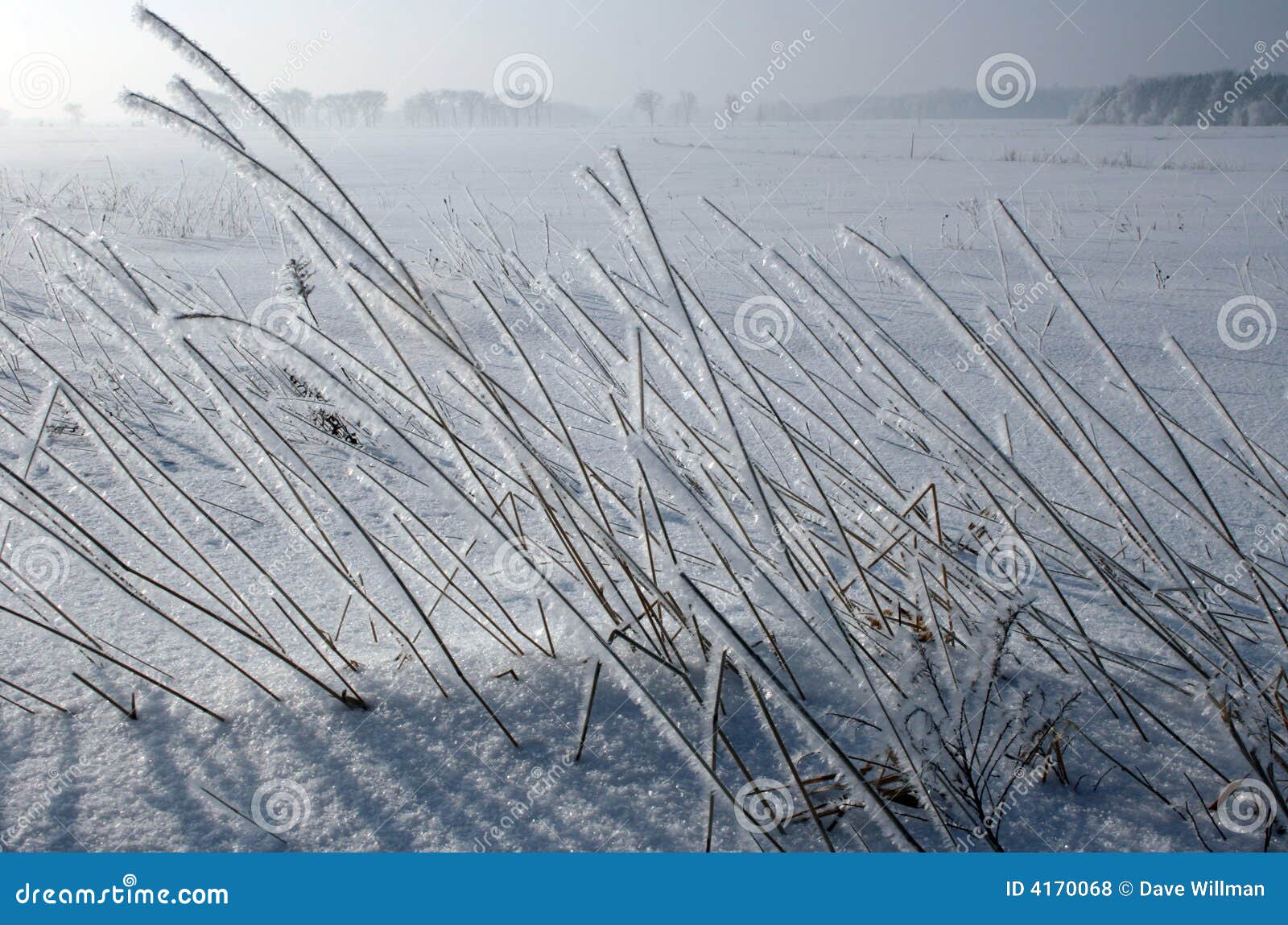 Frozen winter landscape stock photo. Image of frost, cold - 4170068