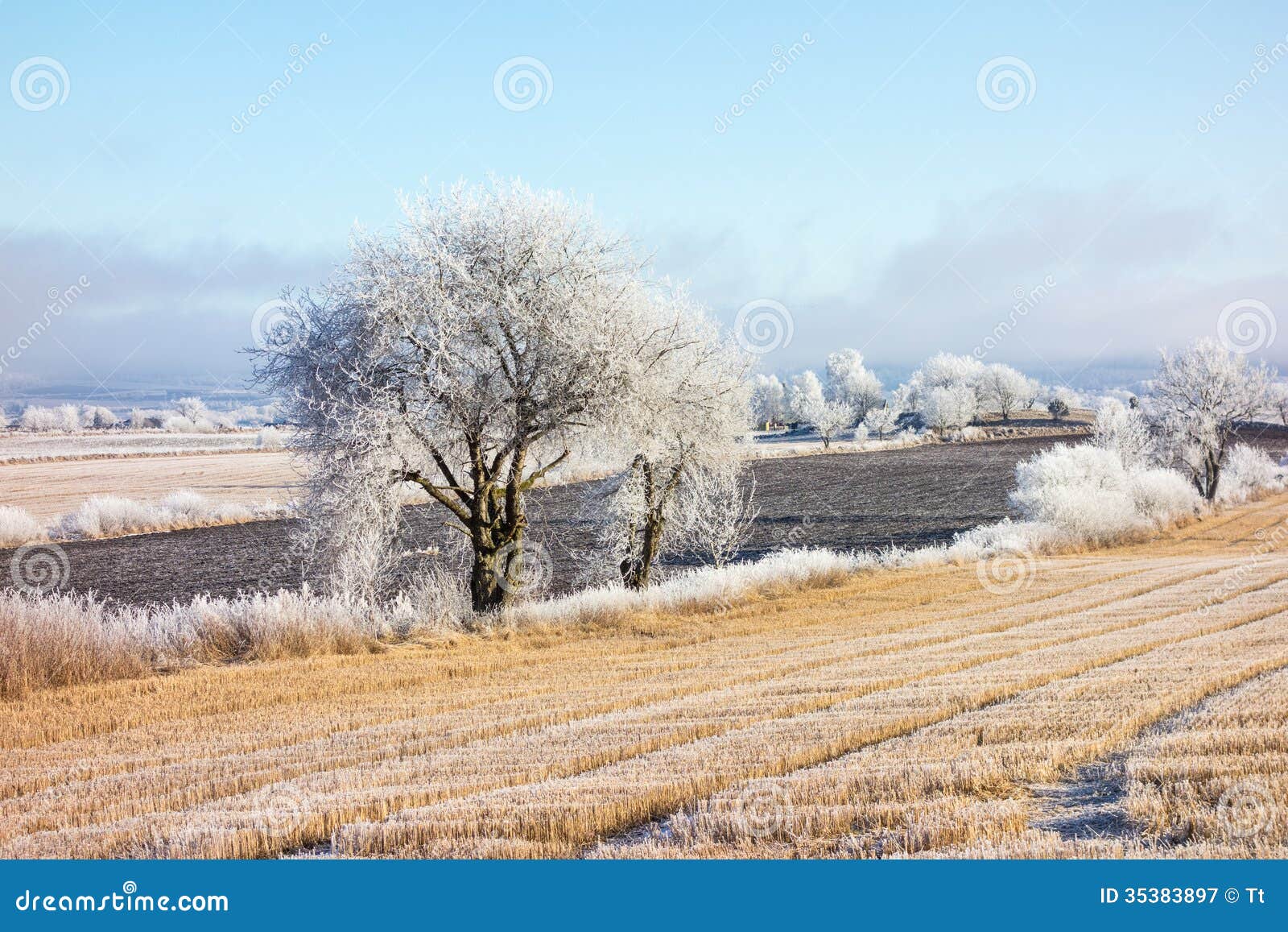 Frozen winter landscape stock image. Image of cultivated - 35383897