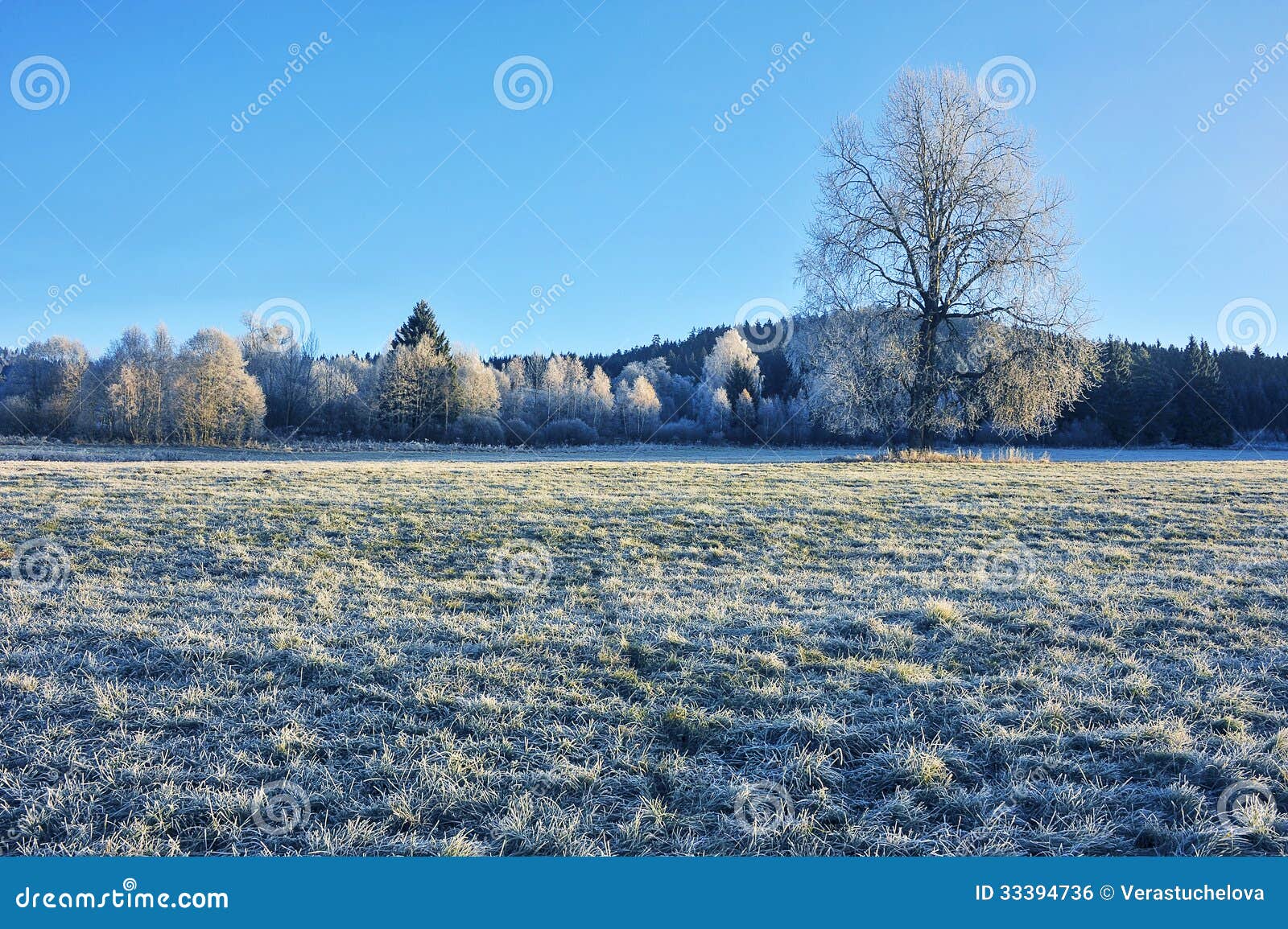 A frozen winter landscape stock photo. Image of fogy - 33394736