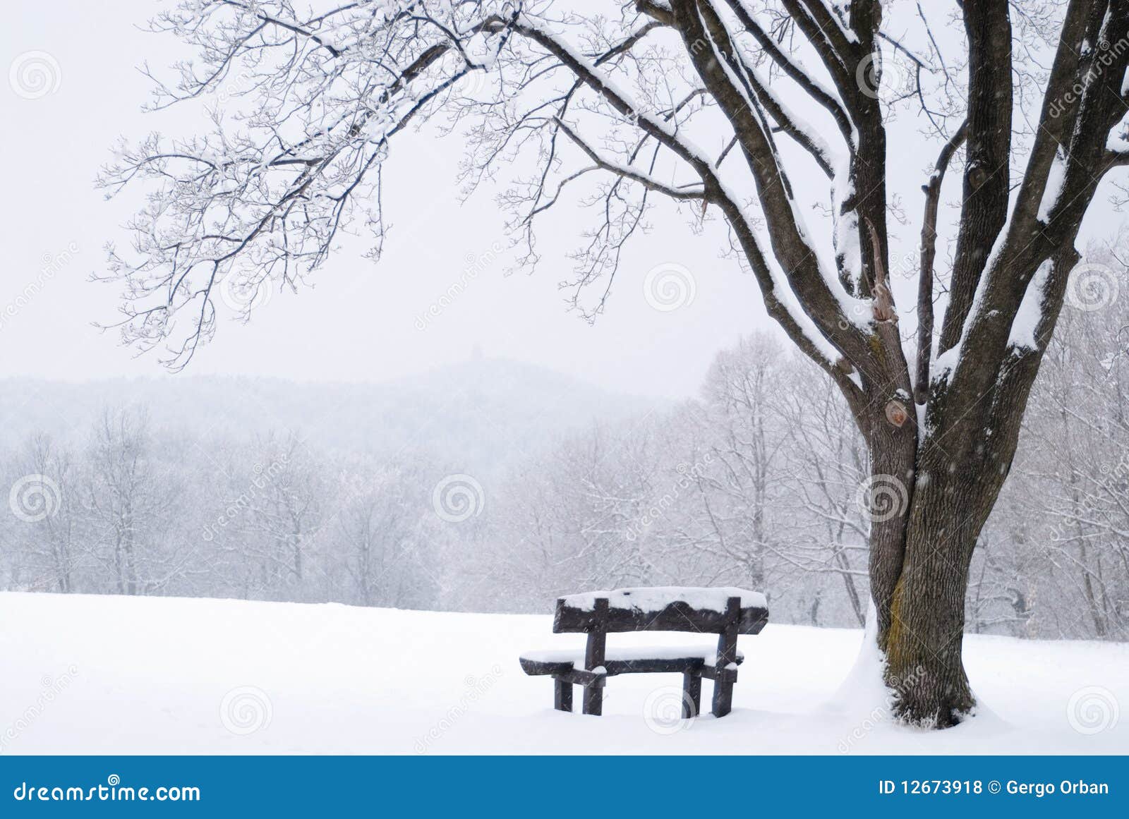 Bench Stock Photography | CartoonDealer.com #92865758