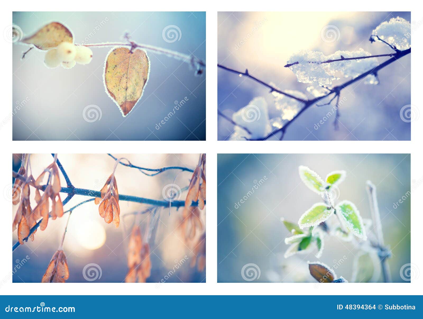 Frozen winter nature stock photo. Image of cold, chill - 48394364
