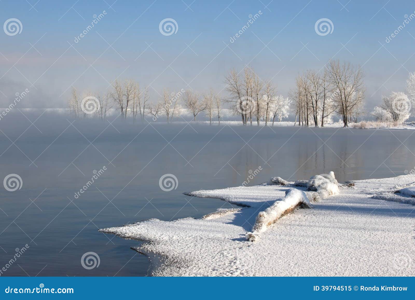 Frozen Winter Trees on a Lake Stock Image - Image of snow, lake: 39794515