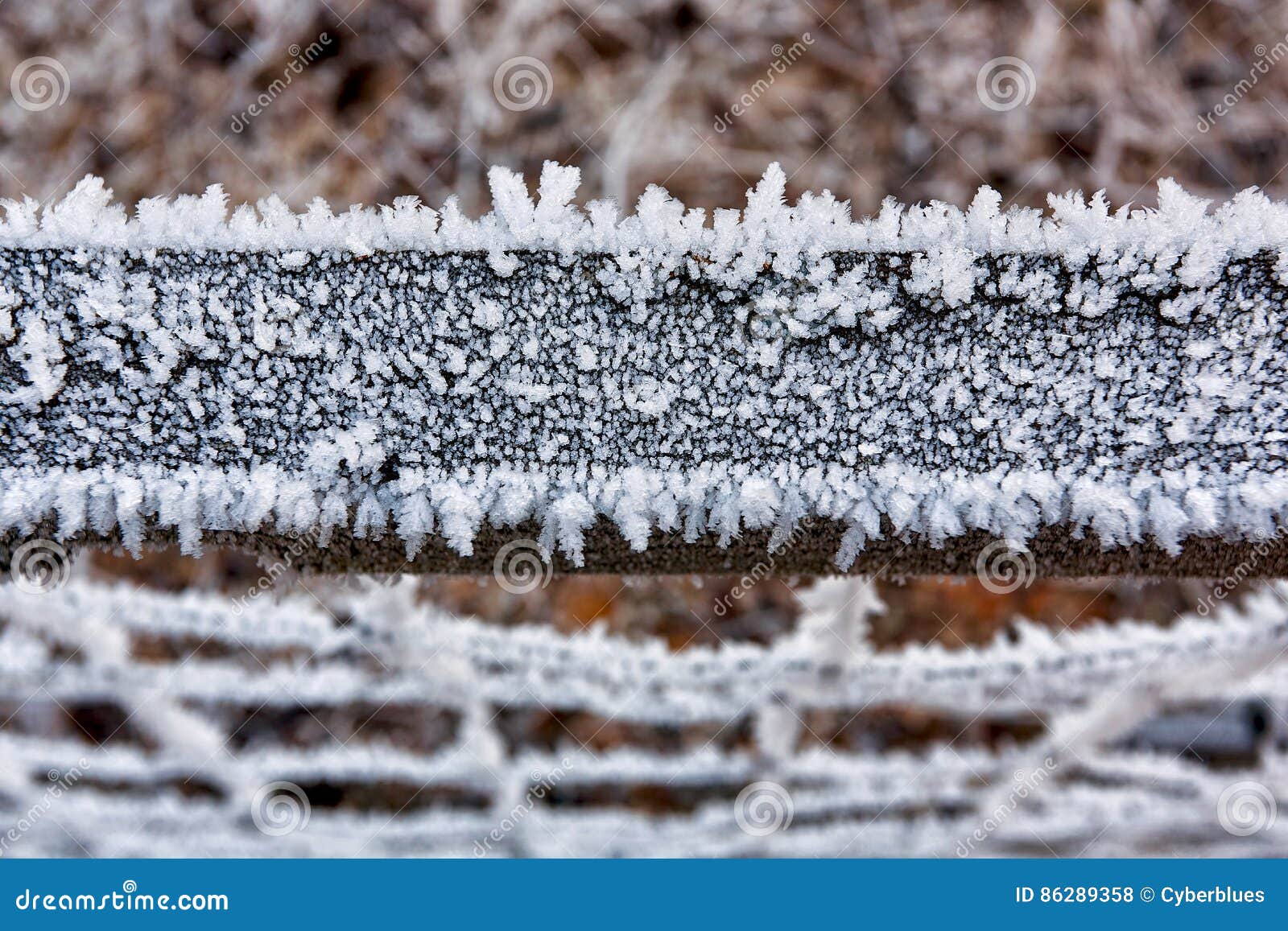 Frozen Wooden Gate Covered with Ice Stock Photo - Image of frozen ...