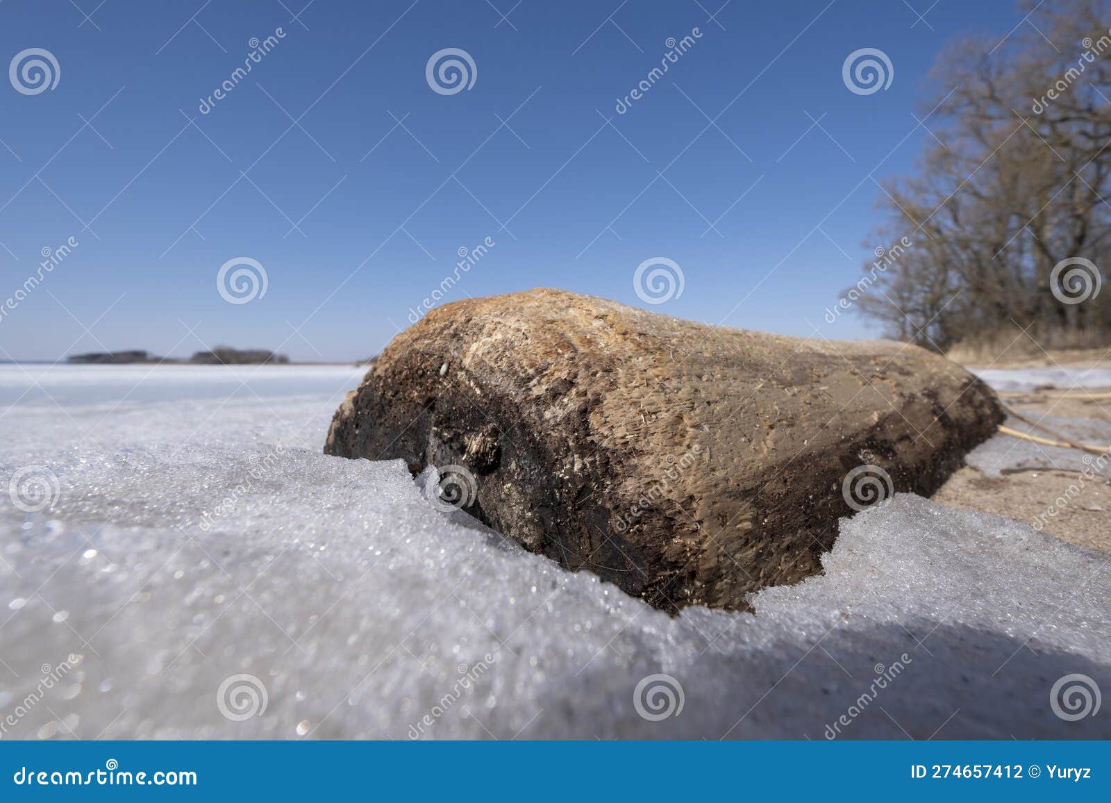 Frozen wooden log stock photo. Image of season, frozen - 274657412