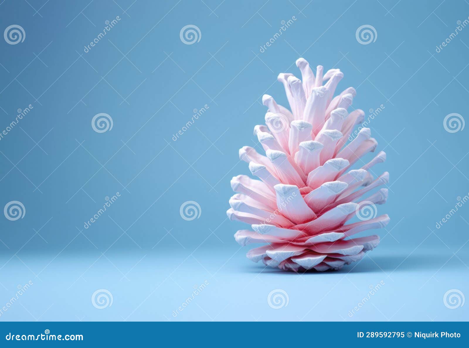 Frozne Pink Pine Cone on a Light Blue Background. Stock Illustration ...