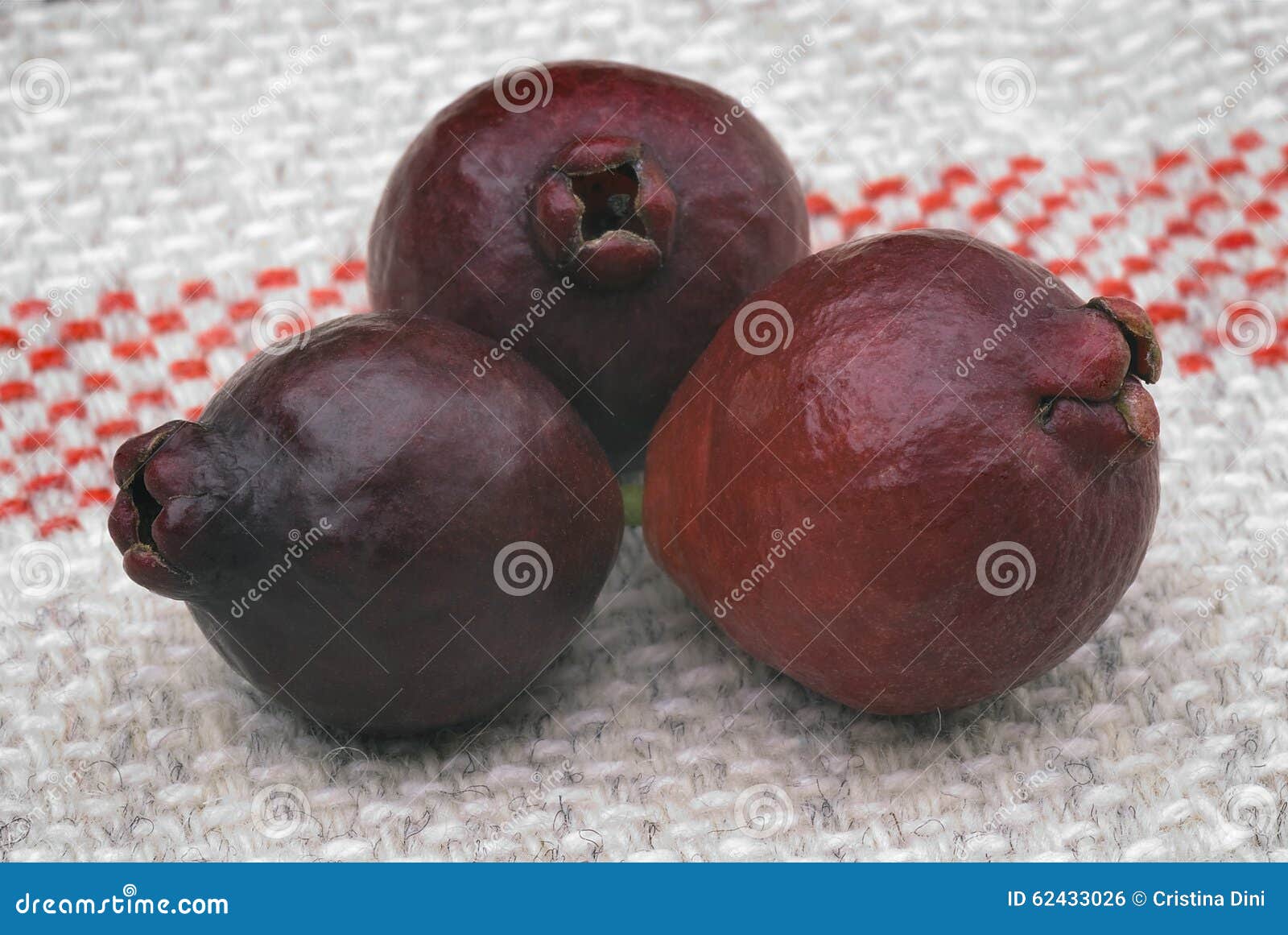 Frucht Von Cattley-Guave Oder Von Peruanischer Guave (Psidium Littorale ...