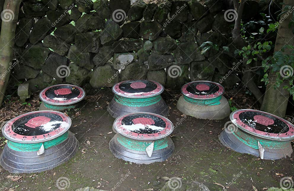 Fructus Schisandrae茶 库存图片. 图片 包括有 纪念, 雕象, 镇痛药, 历史记录, 城市 - 50232711