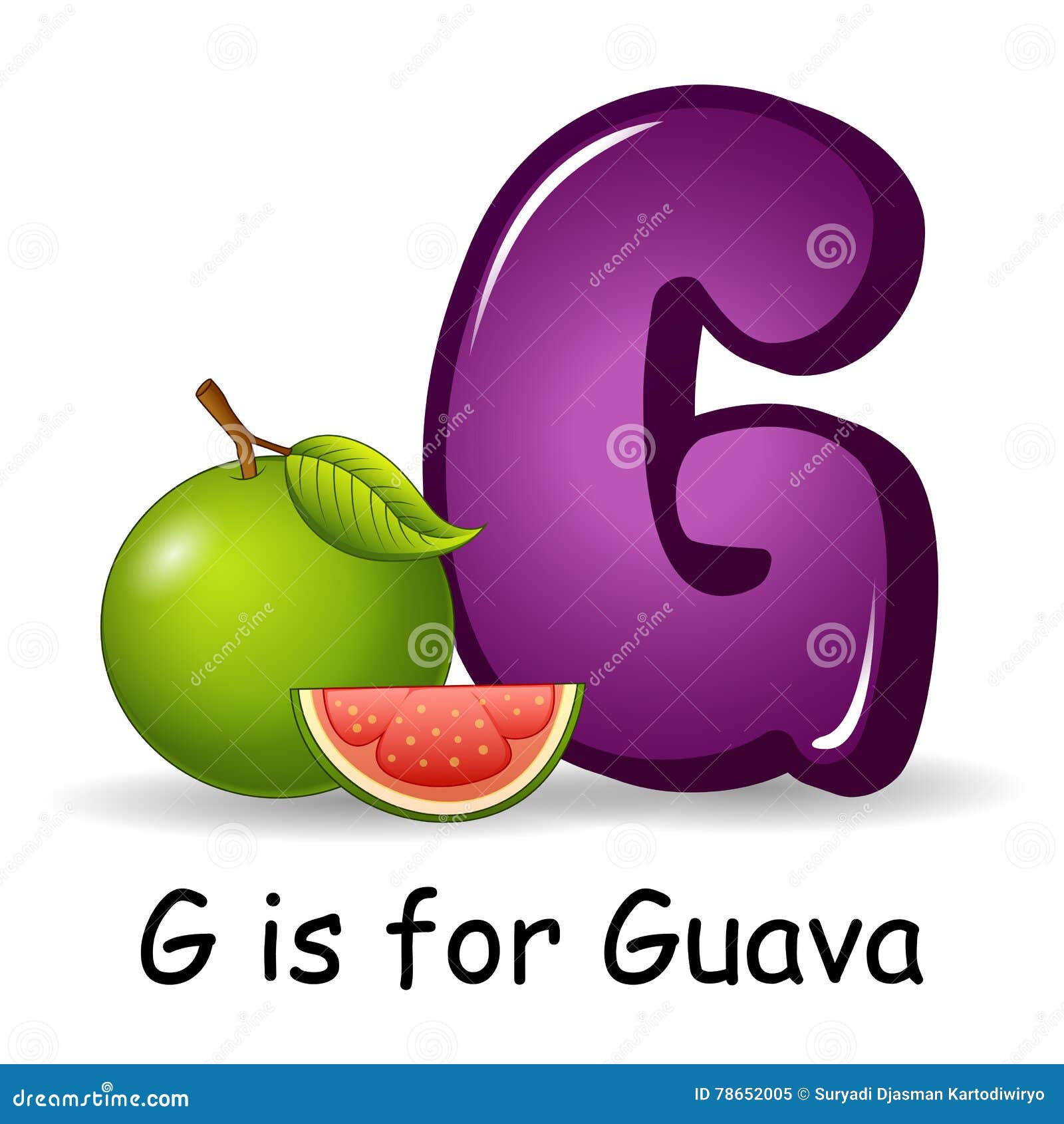 Fruit Alphabet: G is for Guava Stock Vector - Illustration of natural ...