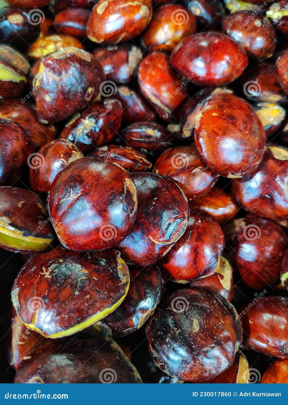 Archidendron Pauciflorum, Commonly Known As Jengkol Or Jering Is A ...