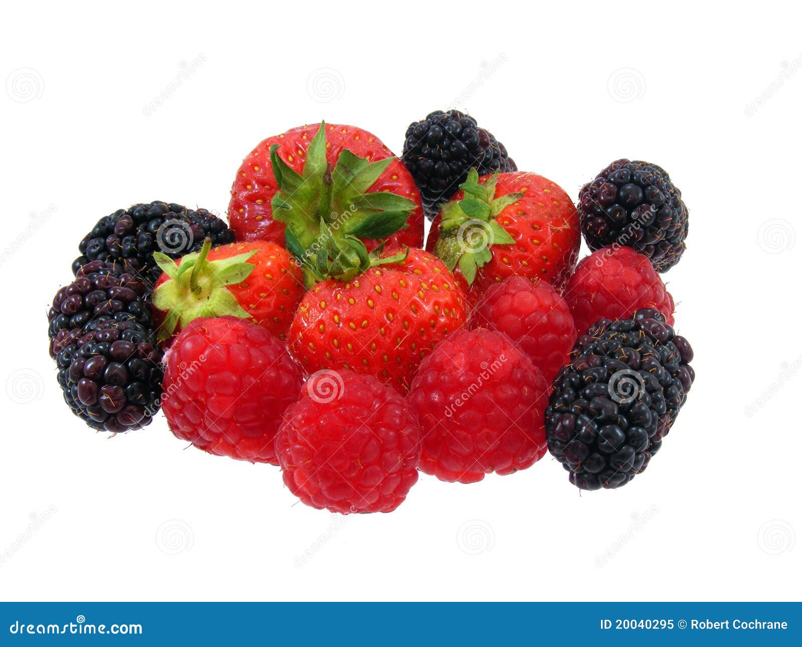 Fruit Assortment stock image. Image of fresh, healthy - 20040295