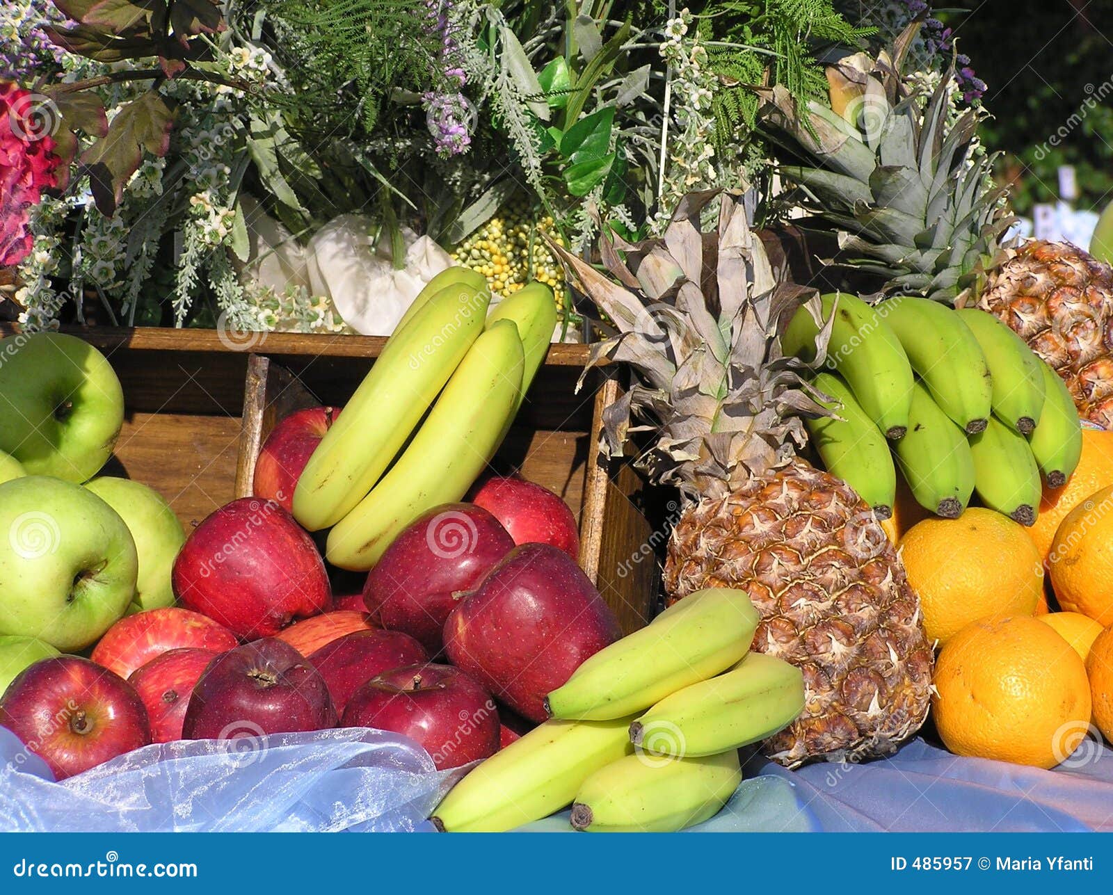 Fruit assortment stock image. Image of fruits, assorted - 485957