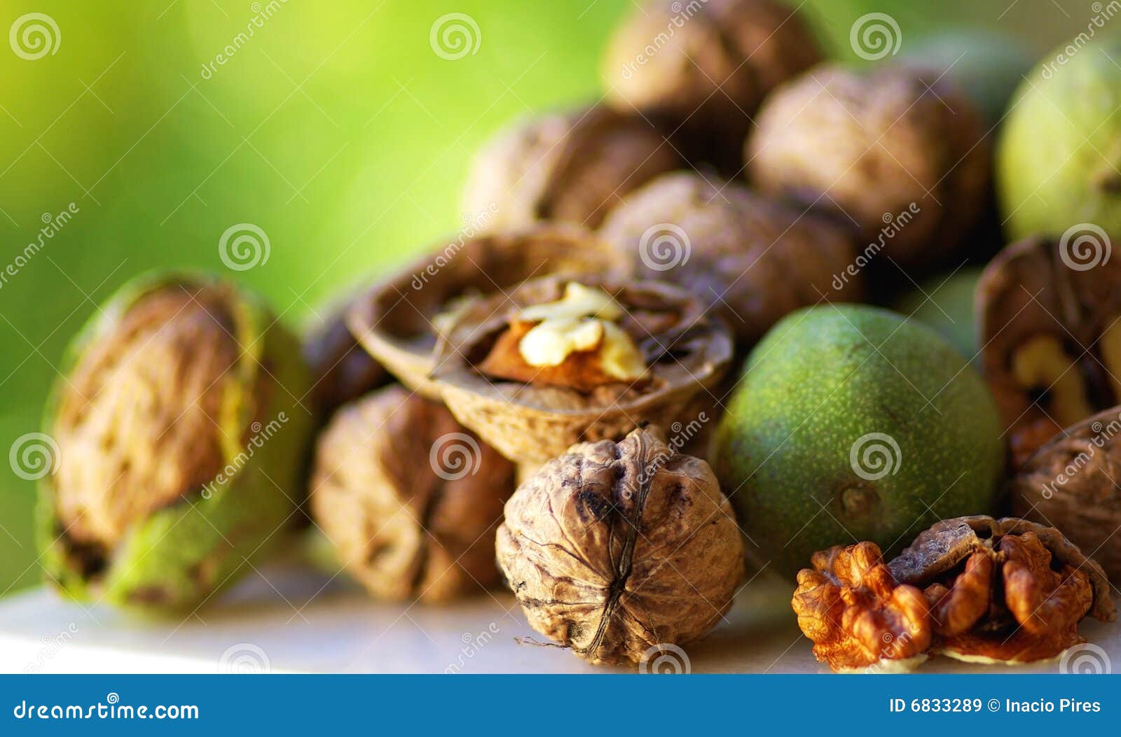 Fruit of Autumn: walnuts. stock image. Image of delicious - 6833289