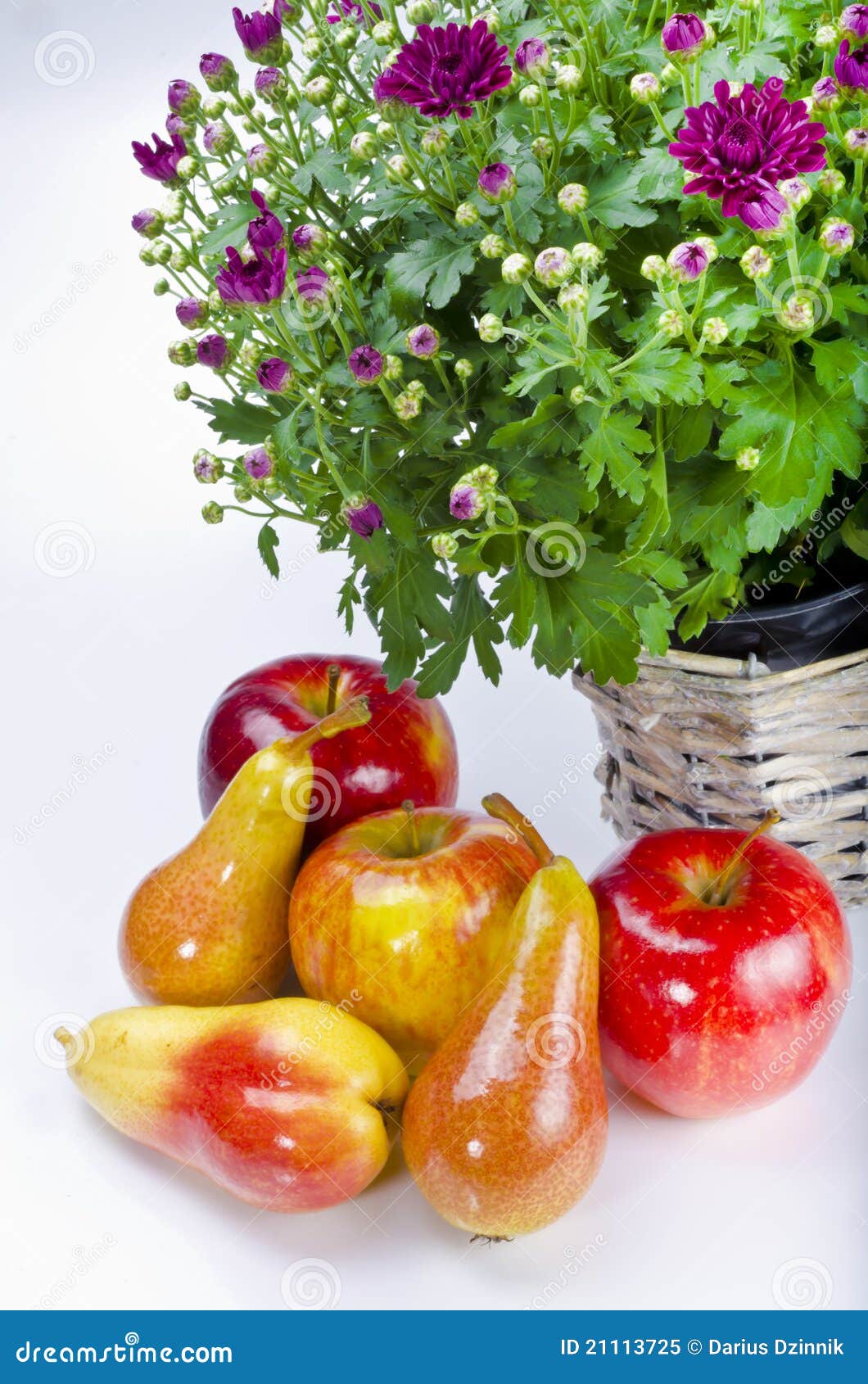 Fruit avec des fleurs image stock. Image du lame, healthfully - 21113725