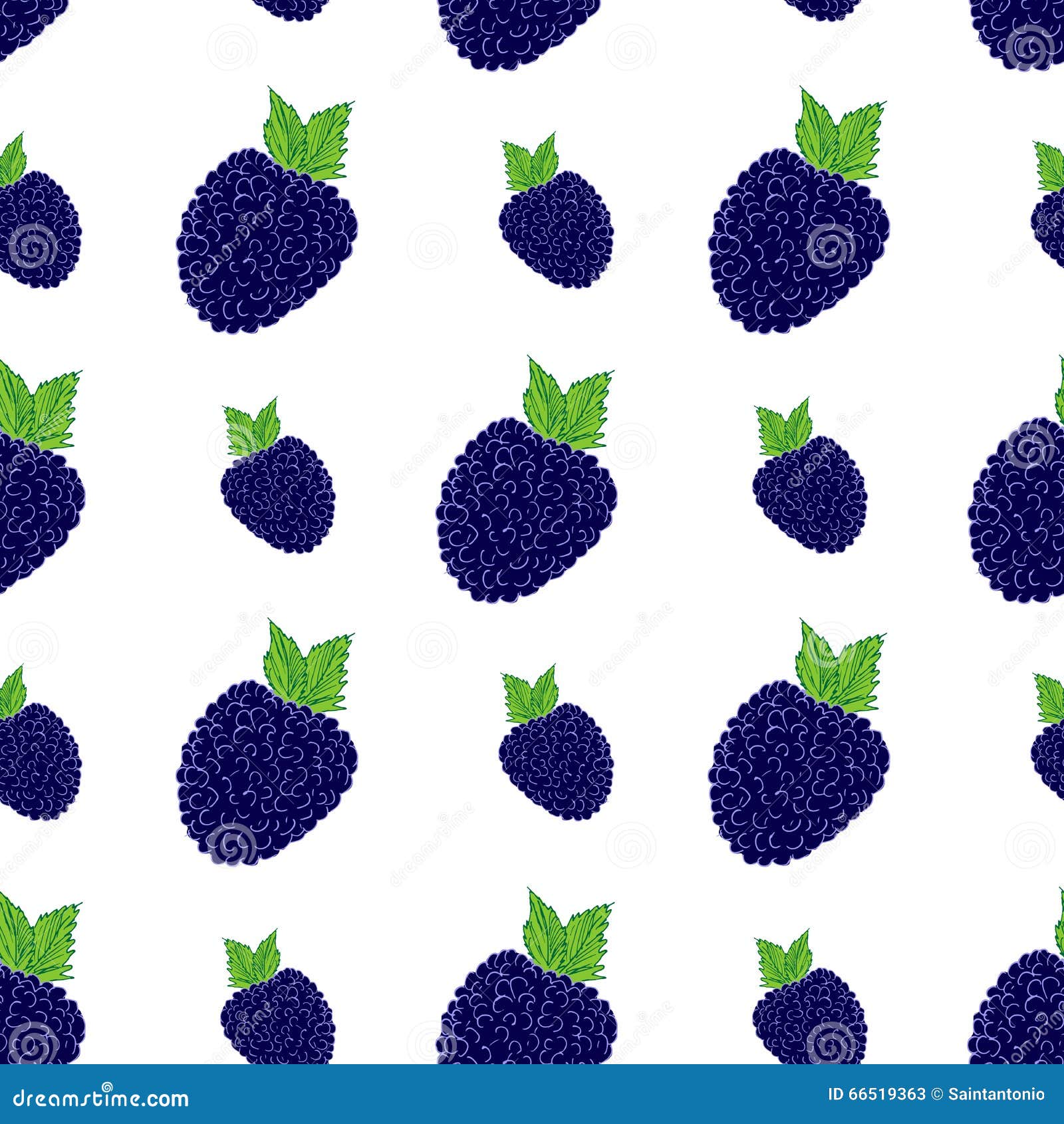 Fruit Background Seamless Pattern with Hand Drawn Skech Blackberry ...