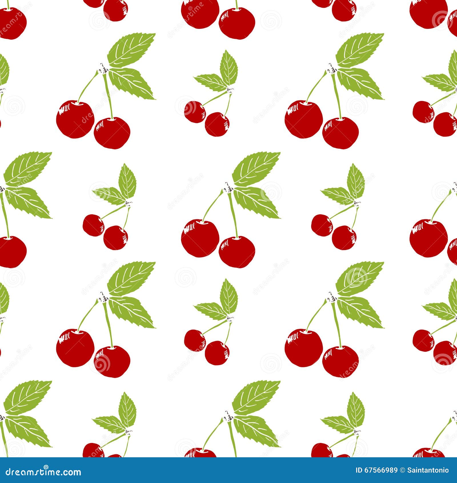 Sketch Of Cherry. Fruit Vector Isolated On White Background ...
