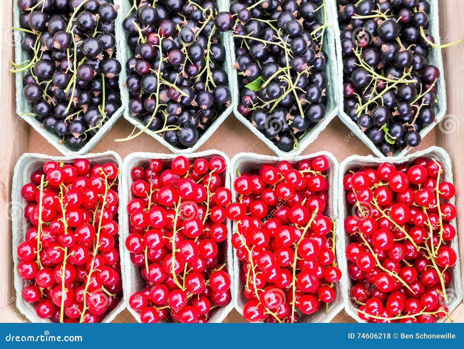 Fruit Baskets with Red Berries and Black Currants Stock Photo - Image ...