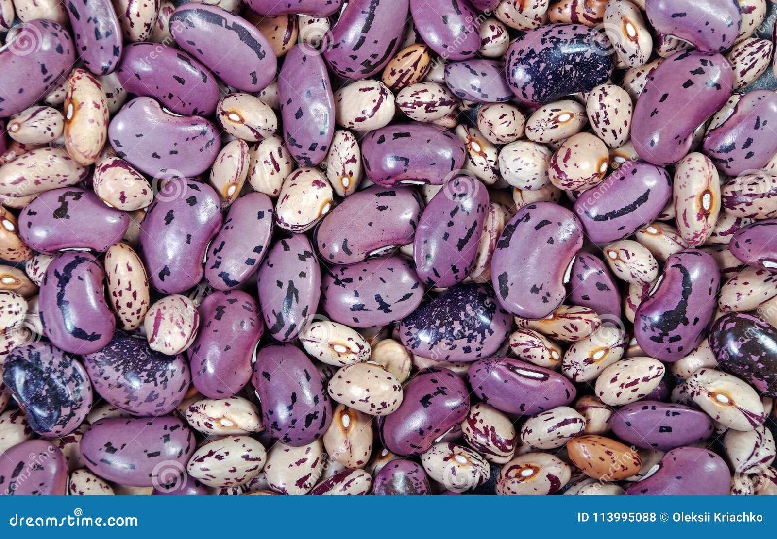 Fruit Beans Texture Background Stock Photo - Image of kidney, organic ...
