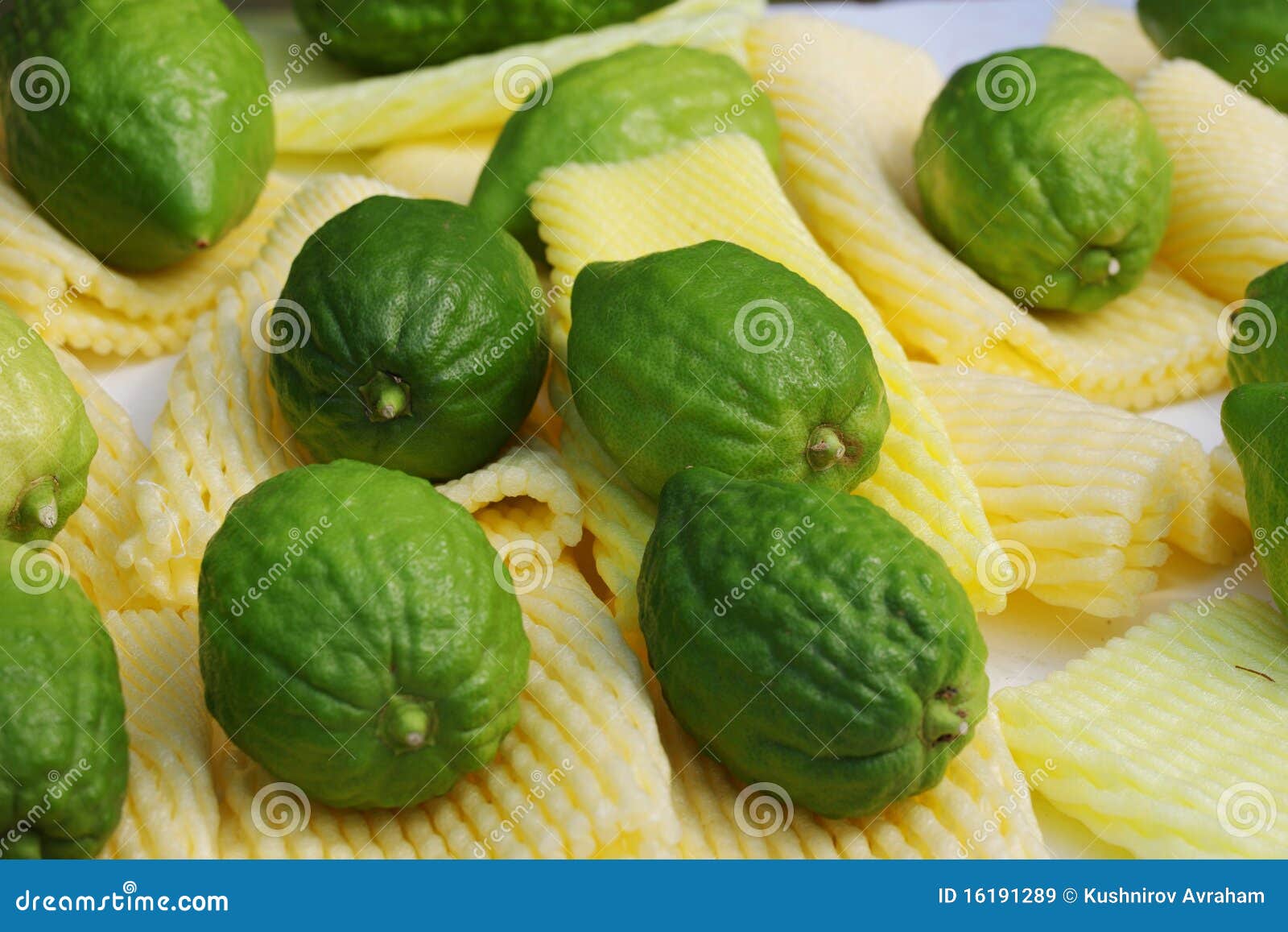 The Fruit of the Beautiful Tree - Etrog Stock Image - Image of fruit ...