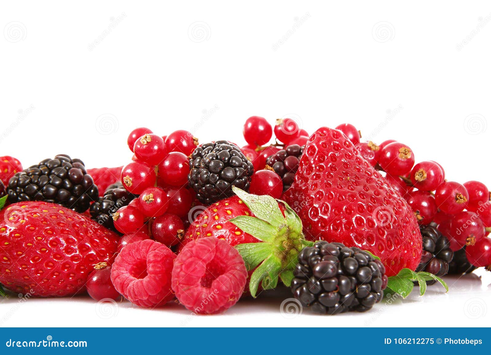 Fruit Berries Of Shadbush Shrub Amelanchier Also Known As Serviceberry ...