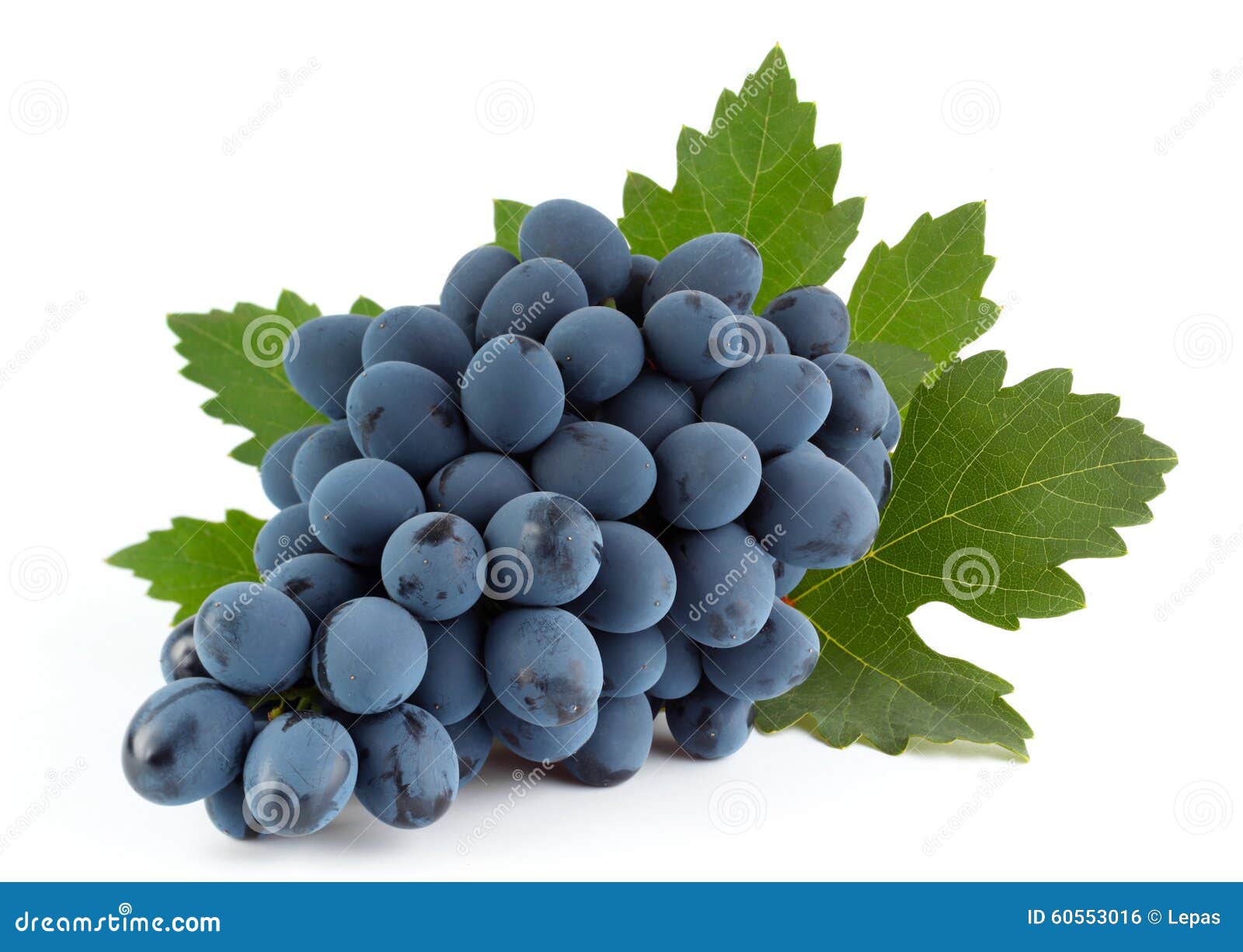 Fruit Bleu De Raisin Avec La Feuille Photo stock - Image du organique ...