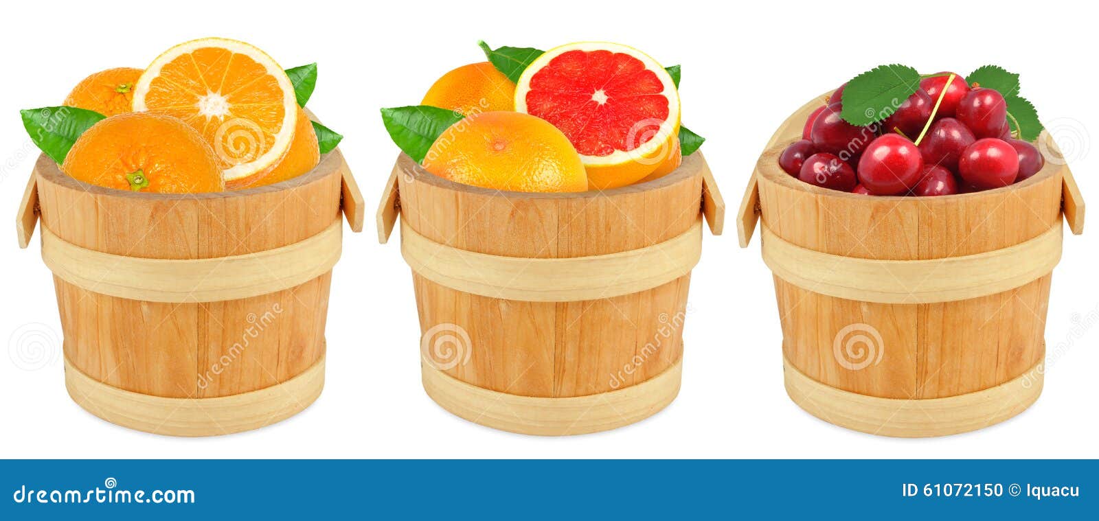 Fruit in a bucket stock photo. Image of background, grapefruit - 61072150