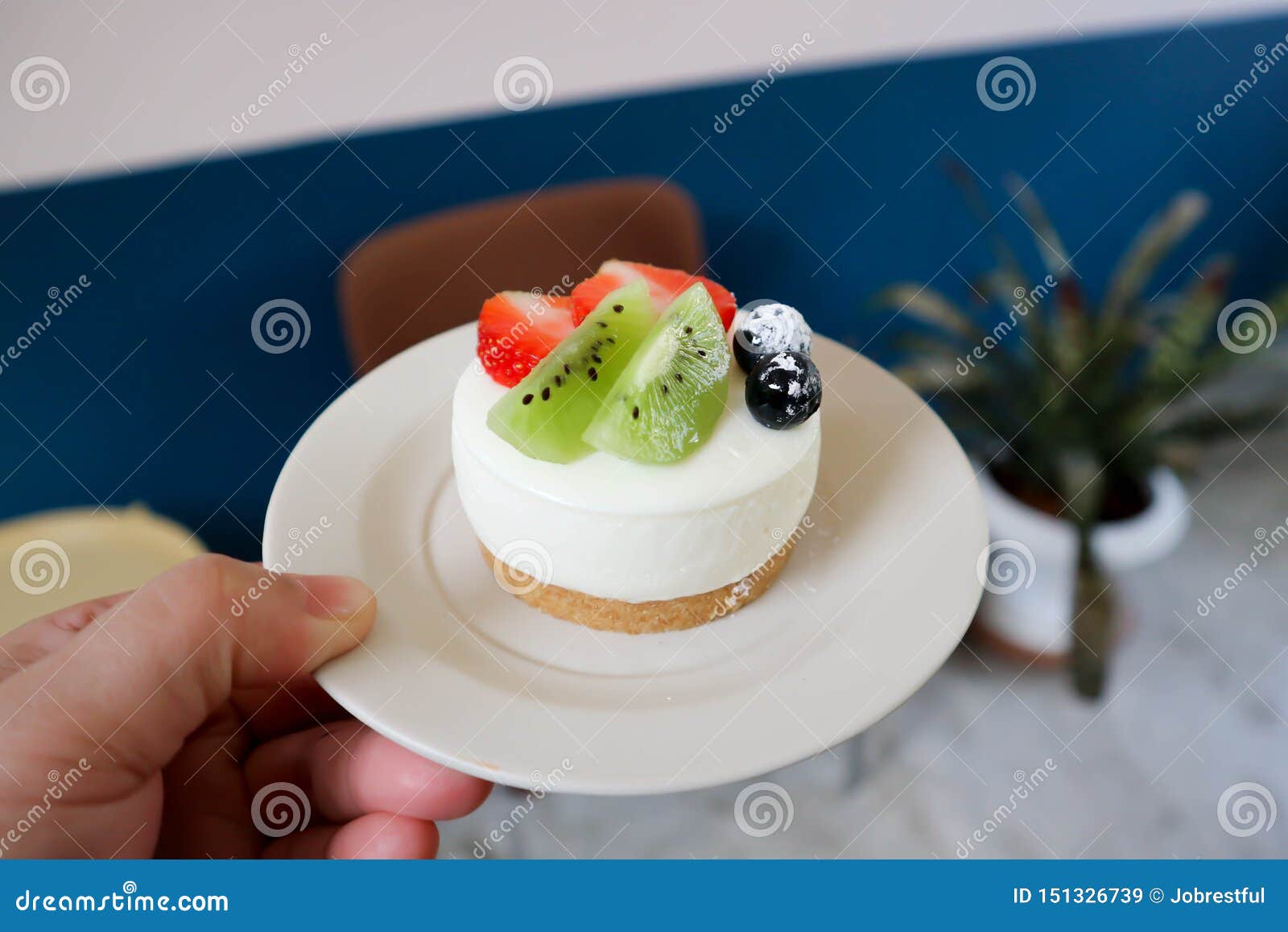 Fruit Cake or Cheese Cake with Fruit Stock Image - Image of sweet ...