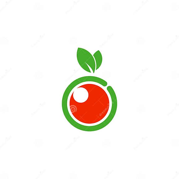Fruit camera lens icon stock vector. Illustration of symbol - 228782847