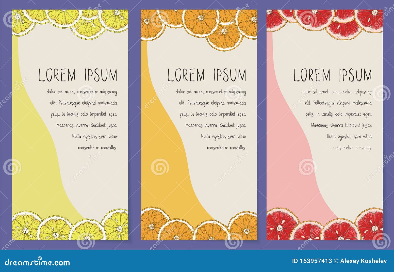 Citrus Fruit Cards or Banners Template Collection Stock Vector ...