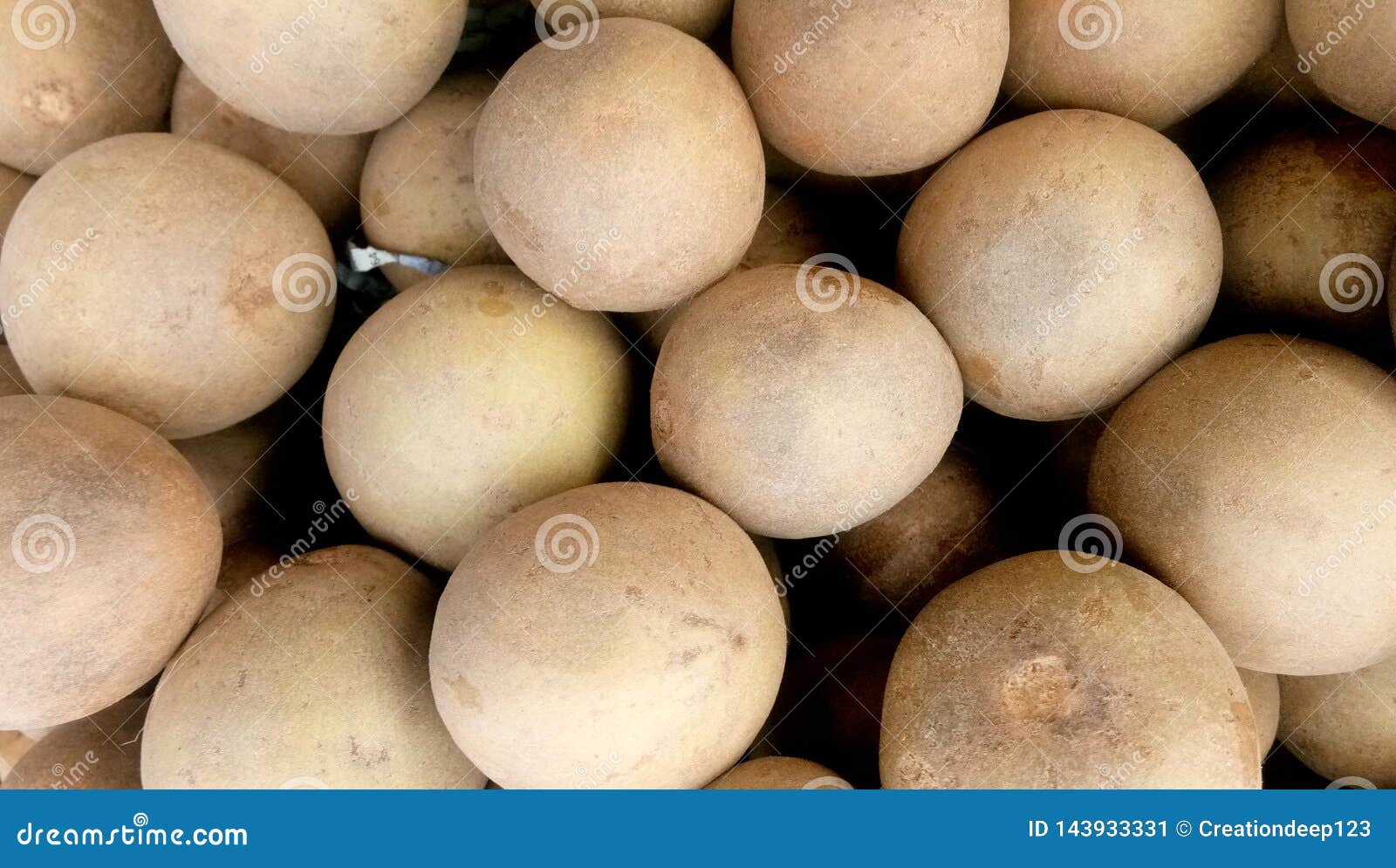 Heap of Fruit Chiku or Sapota Stock Image - Image of ciku, juicy: 143933331