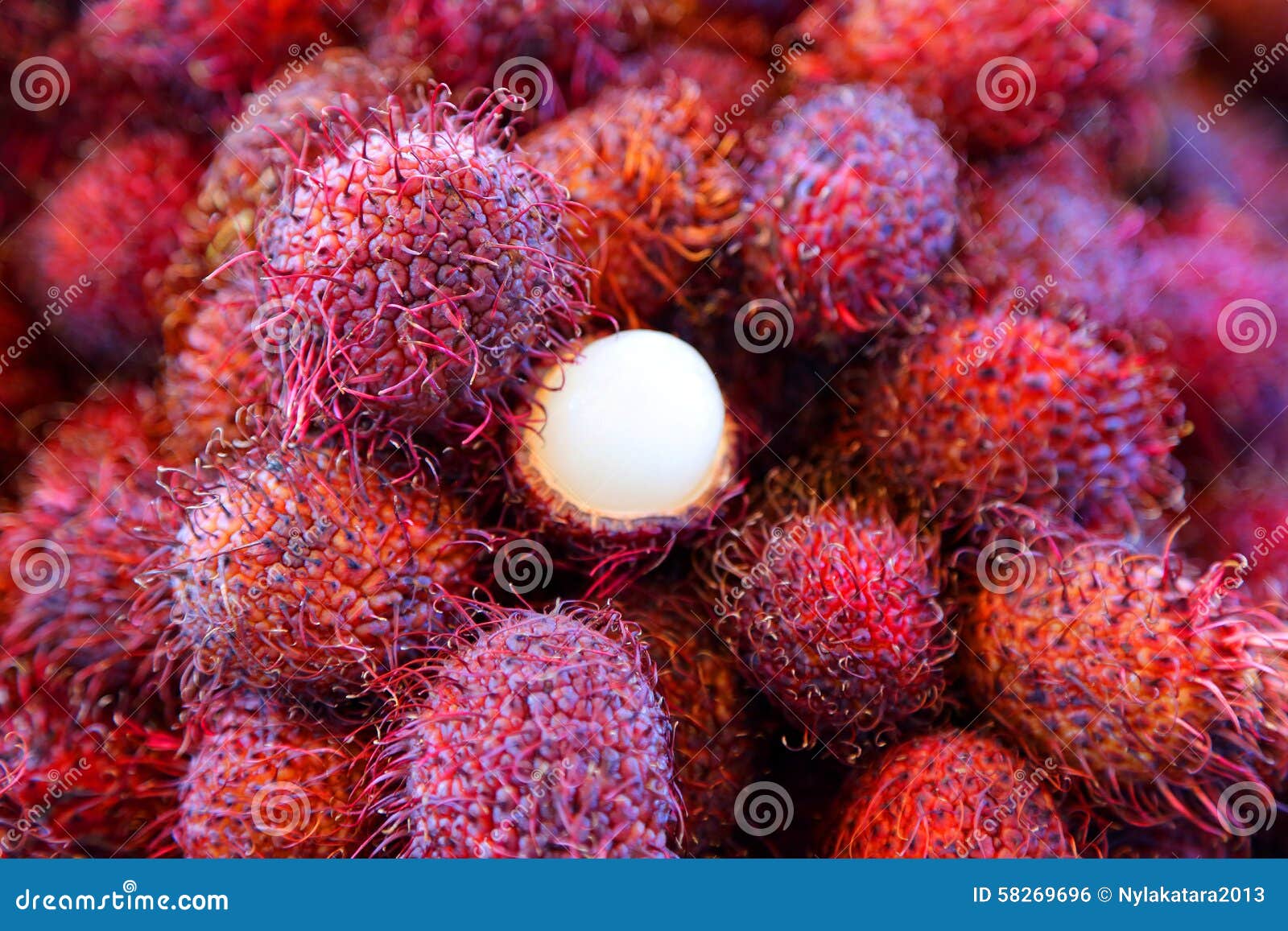Fruit chinois photo stock. Image of ours, chinois, charnu - 58269696