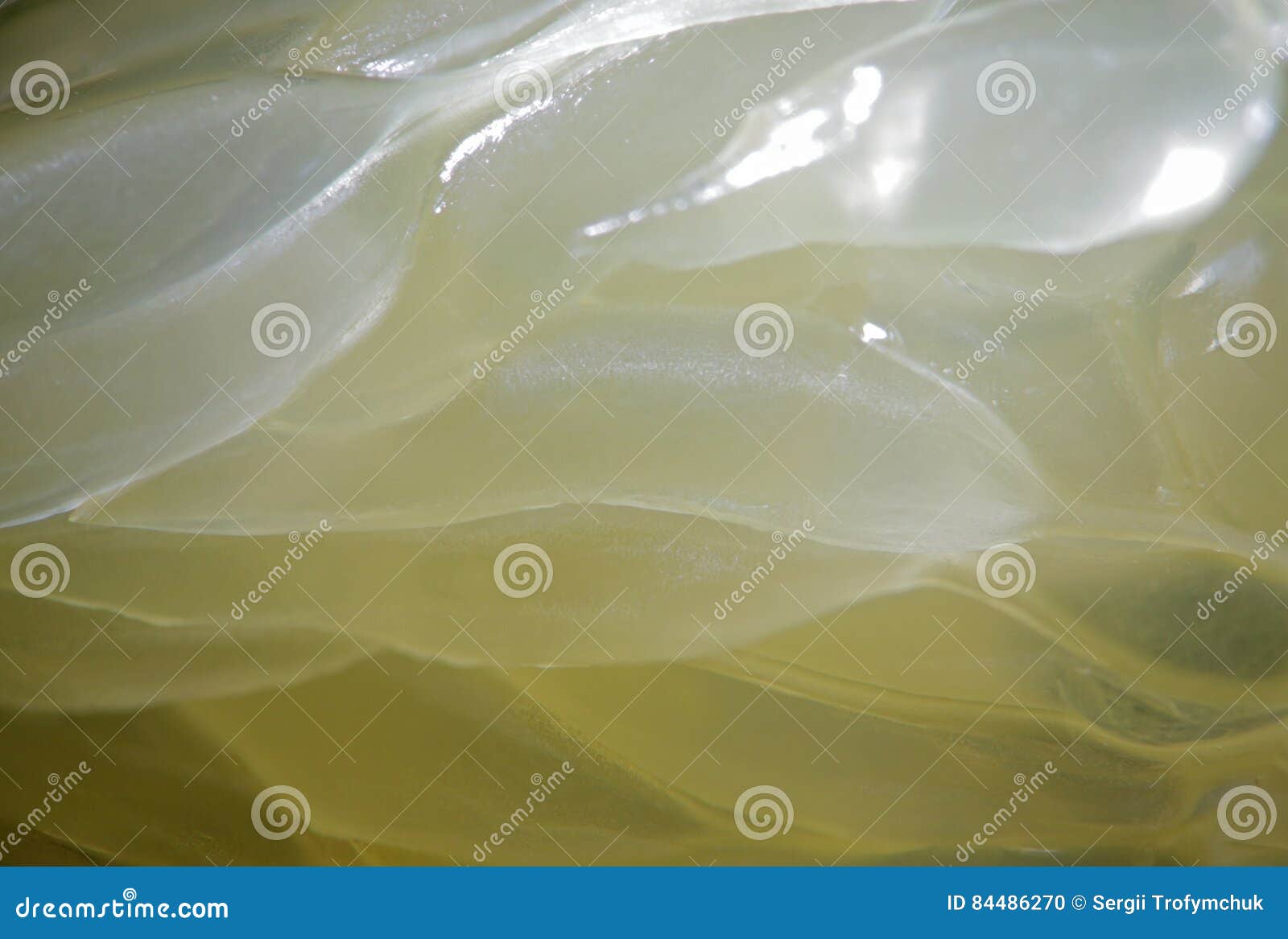 Fruit Citrus Orange Cell Texture. Juice, Fresh, Orange Pulp, Close-up ...