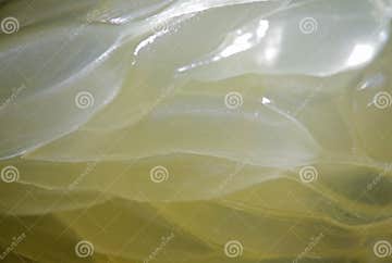 Fruit Citrus Orange Cell Texture. Juice, Fresh, Orange Pulp, Close-up ...