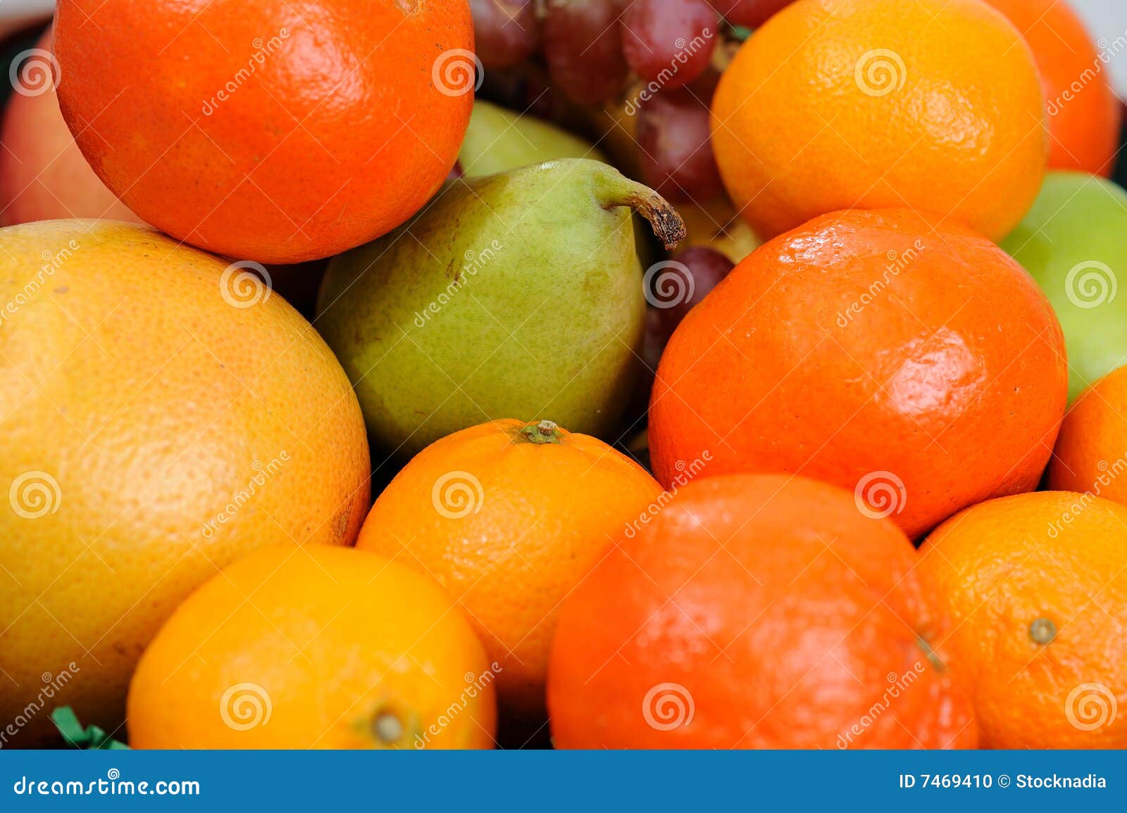 Fruit close up stock photo. Image of harvest, berries - 7469410