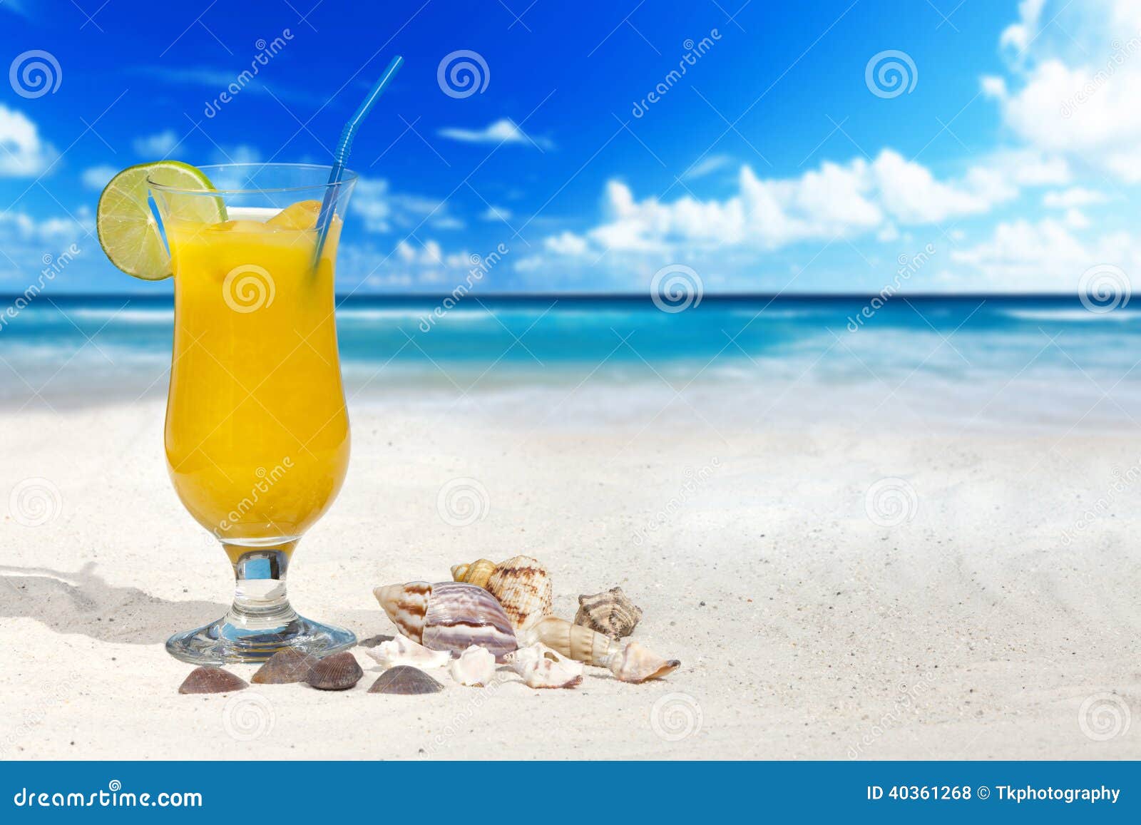 Fruit Cocktail and Seashells Stock Photo - Image of orange, glass: 40361268