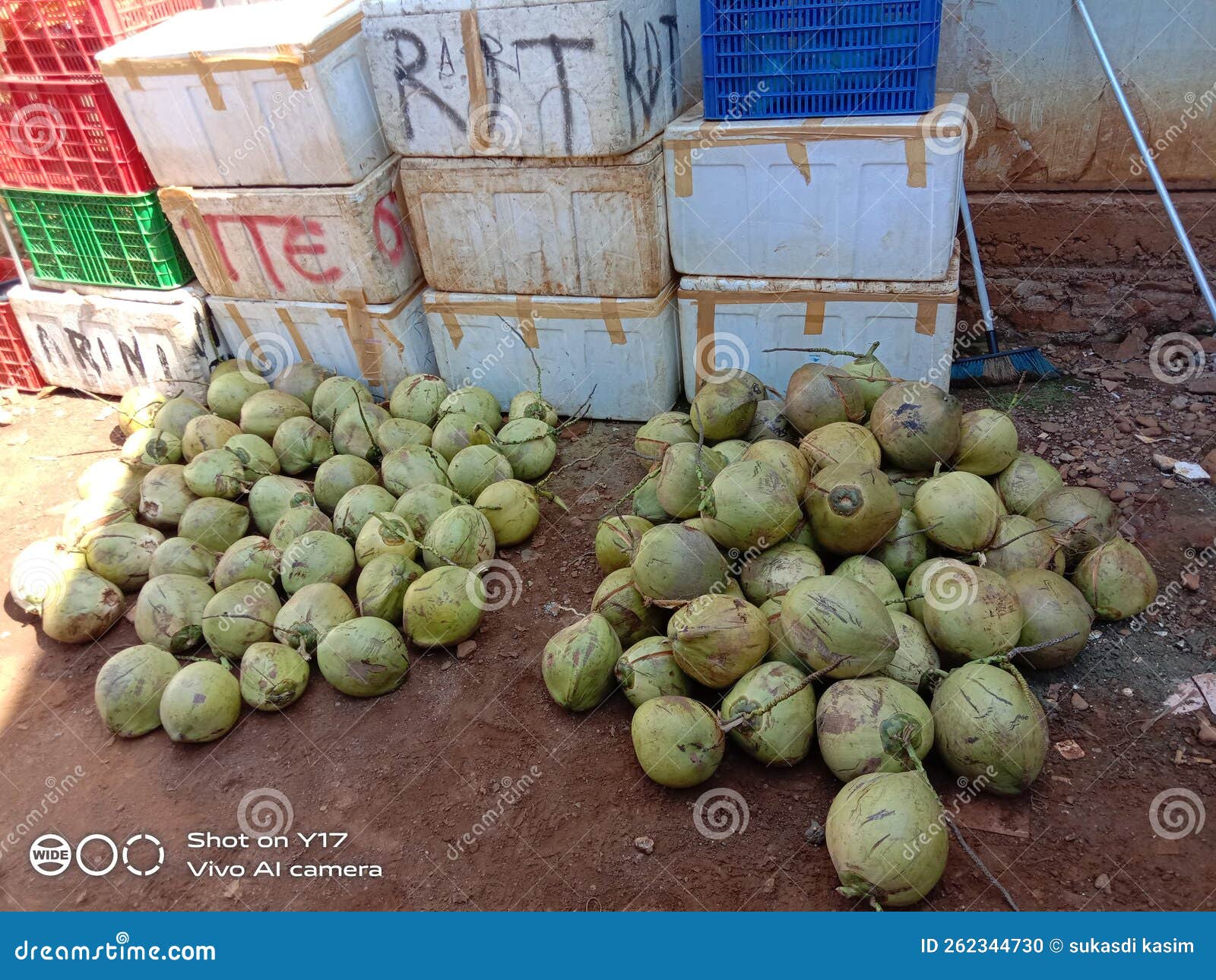 Fruit coconut box stock photo. Image of water, marketplace - 262344730