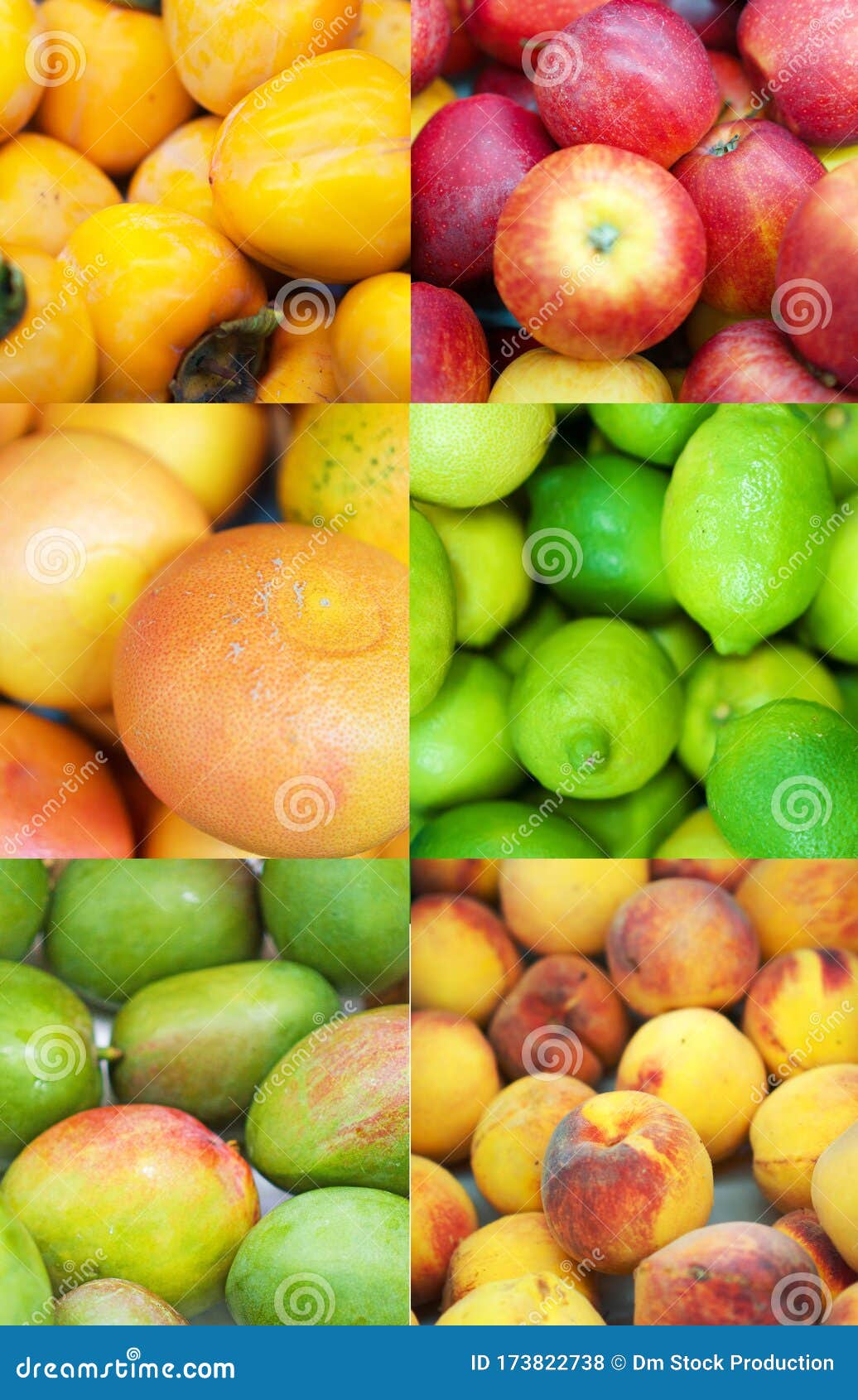 Fruit collage. stock photo. Image of ripe, healthy, taste - 173822738