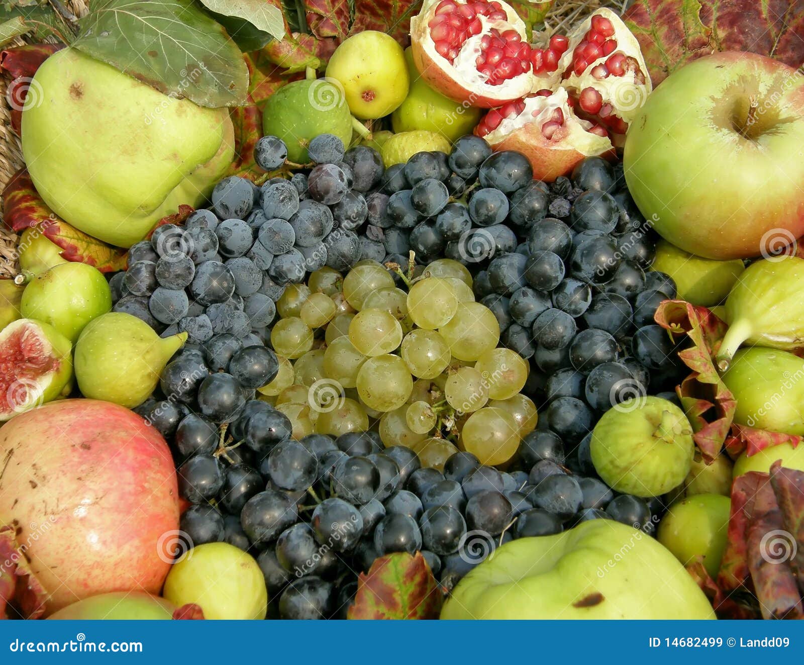 Fruit collection stock image. Image of bunch, breakfast - 14682499
