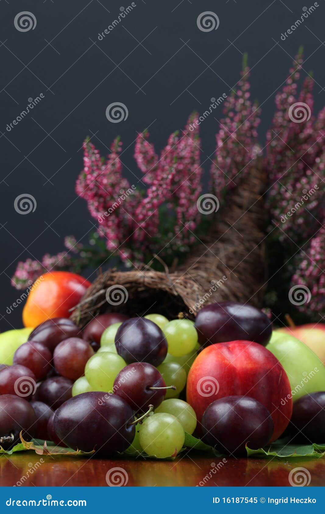 Fruit cornucopia stock image. Image of harvest, plant - 16187545
