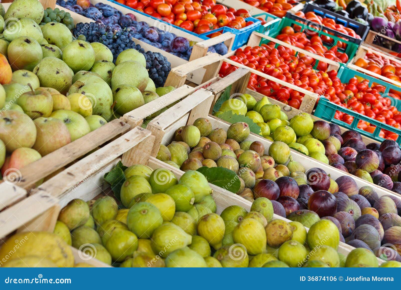Fruit counter stock photo. Image of tyrrhenian, ingredients - 36874106
