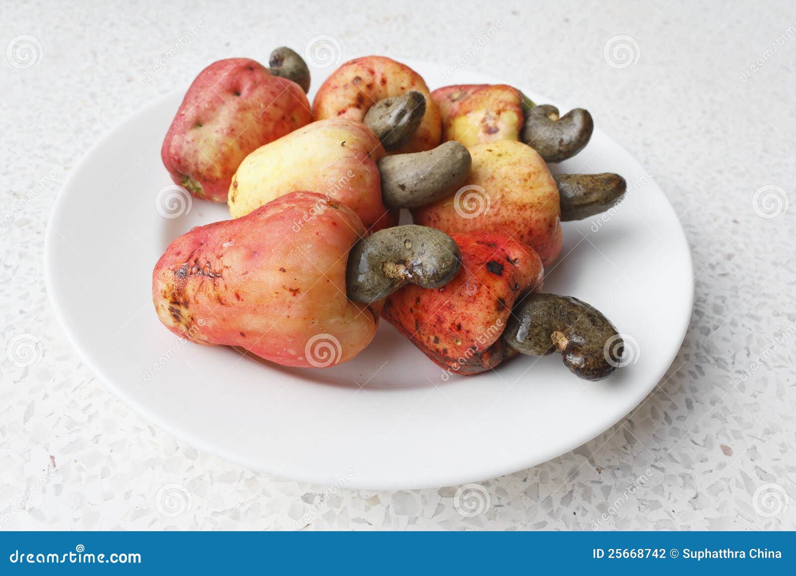 Fruit d'anacarde photo stock. Image du noix, fruits, graine - 25668742