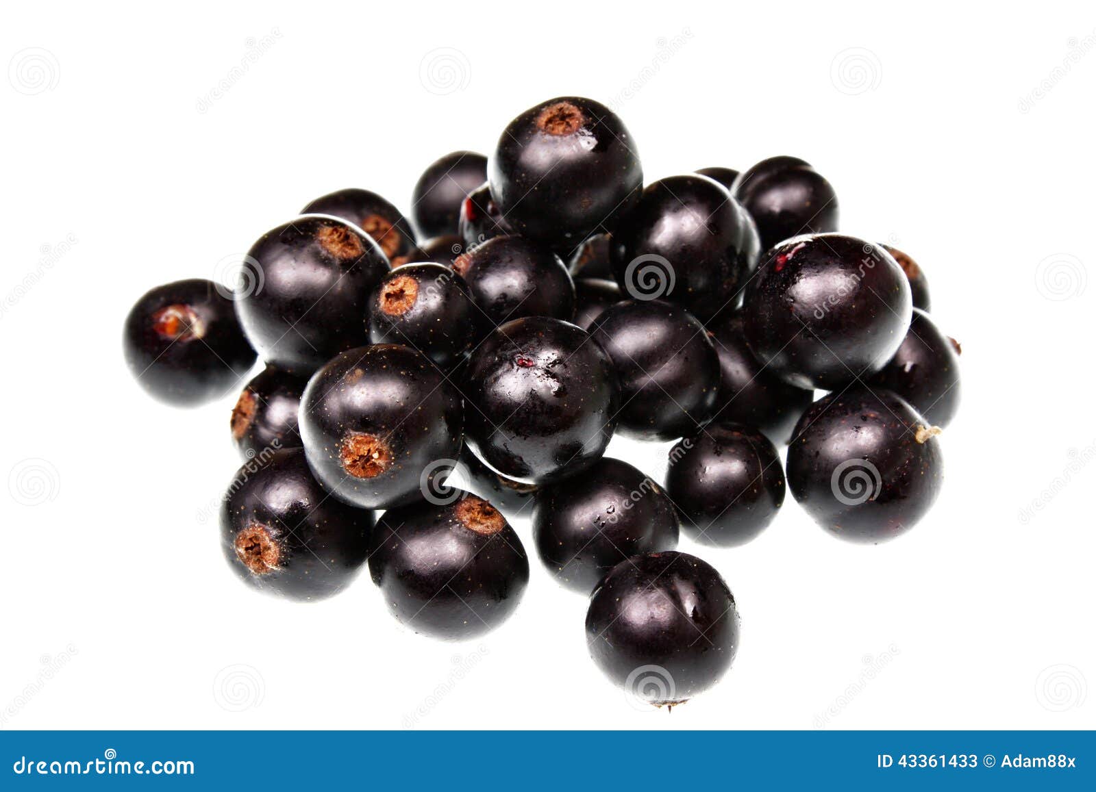 Fruit de cassis image stock. Image du appétissant, délicieux - 43361433