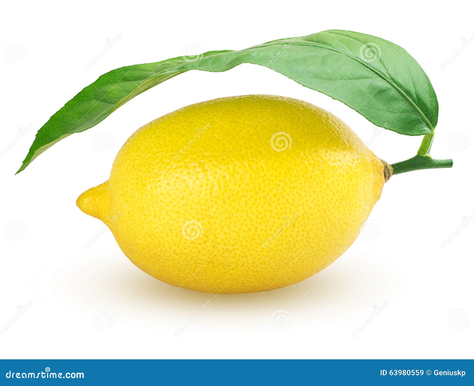 Fruit De Citron Avec La Feuille Image stock - Image du nature ...