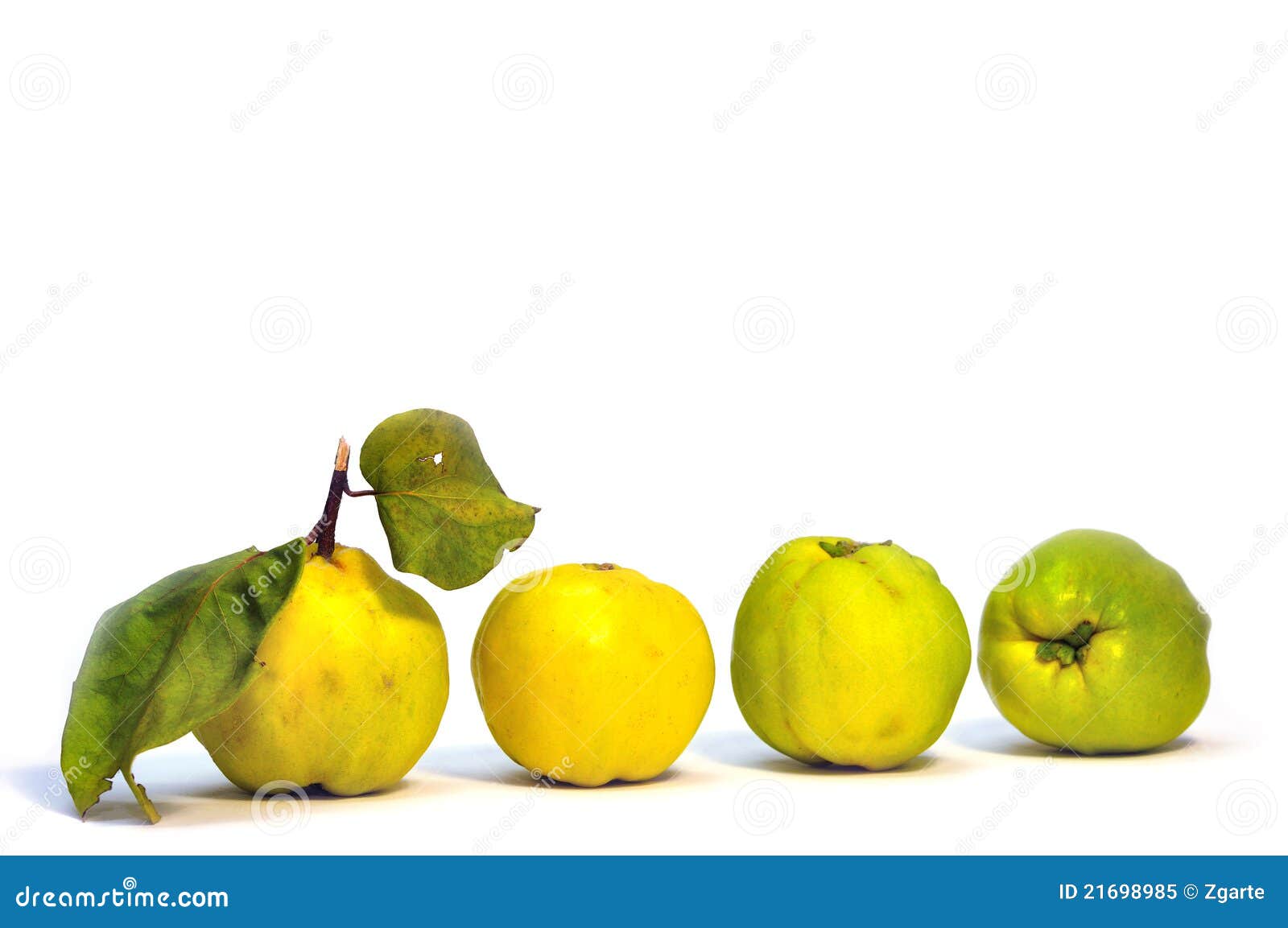 Fruit de coing image stock. Image du normal, manger, nature - 21698985