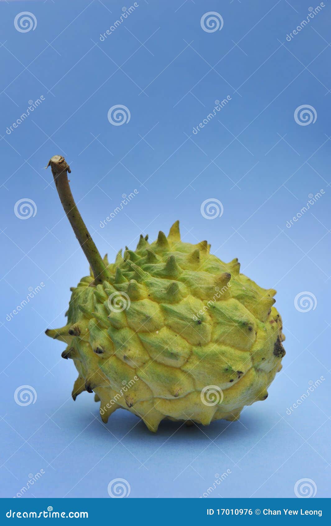 Fruit de corossol photo stock. Image du isolement, vivacité - 17010976