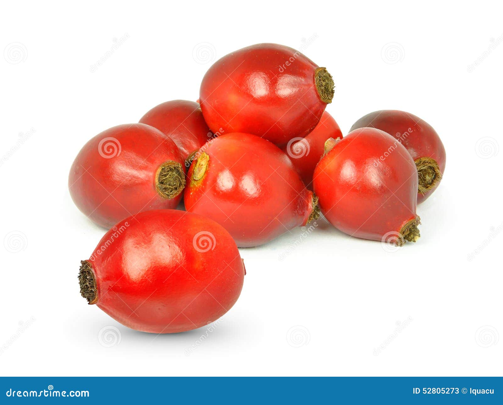 Fruit de cynorrhodon image stock. Image du crabot, médecine - 52805273