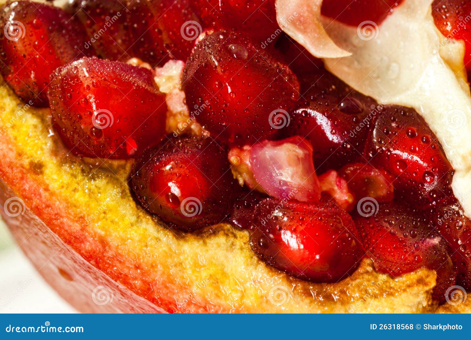 Fruit de grenade photo stock. Image du jardinage, nourriture - 26318568